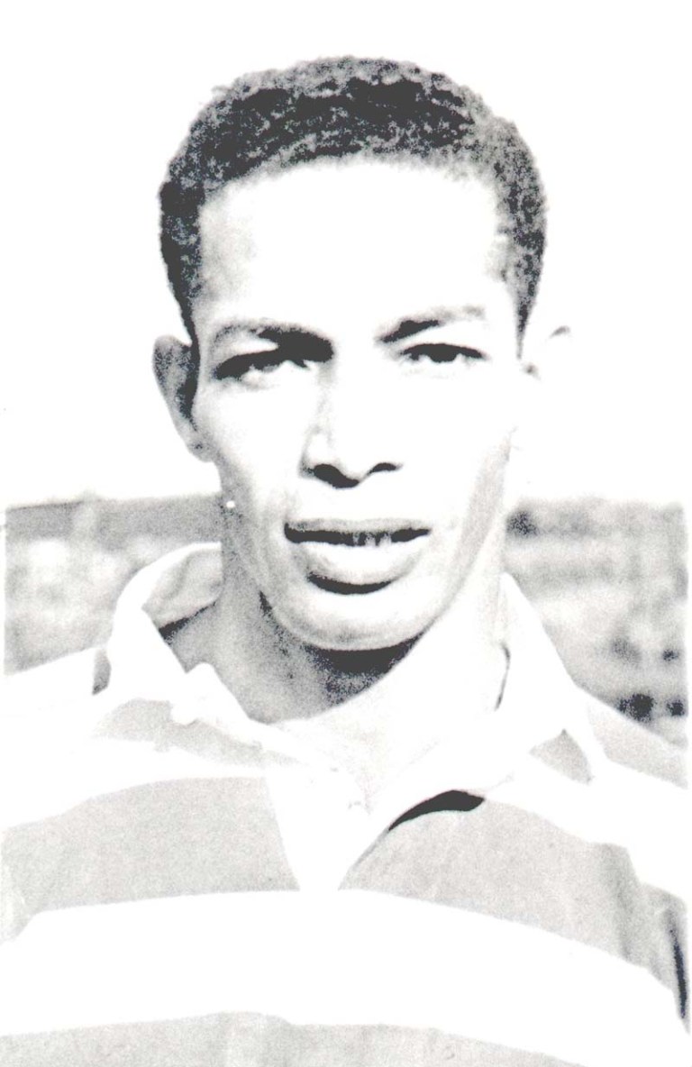 THE NOBLE STRIDE – Celtic and the Pioneering Herons – the shamrock