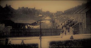 TELEGRAM TAM: Dundee Harp and the Honest Mistake – the shamrock